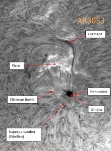 Wissenswertes über unsere Sonne | Astronomische Gesellschaft Orion
